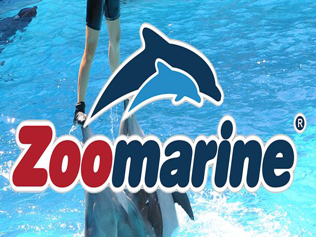 ZOOMARINE – 28 ANOS A PROMOVER A CONSERVAÇÃO DA VIDA DOS OCEANOS, DAS ...